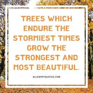 91 Life is Beautiful Quotes that Promotes Life-Changing Outlook in Life