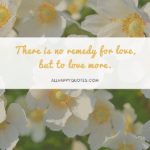 91 Best I Love You Quotes that Supercharges Loving Relationship Fast