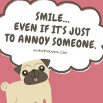 61 Cute Smile Status to Jumpstart the Day with Good Vibes and Mood