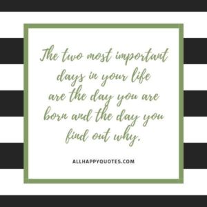 41 Get Inspired Quotes for the Future Successful You