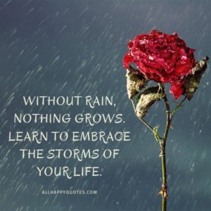 81 Quotes about Life and Love to Captivate and Inspire Others Instantly