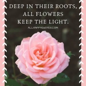 109 Nature Quotes to raise Awareness for Mother Earth