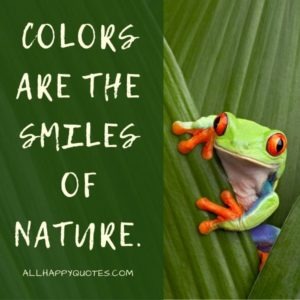 109 Nature Quotes to raise Awareness for Mother Earth