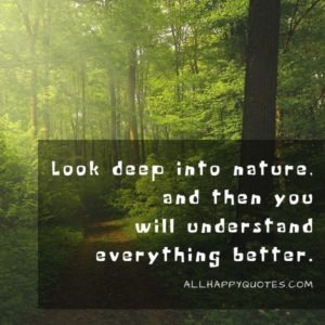 109 Nature Quotes to raise Awareness for Mother Earth
